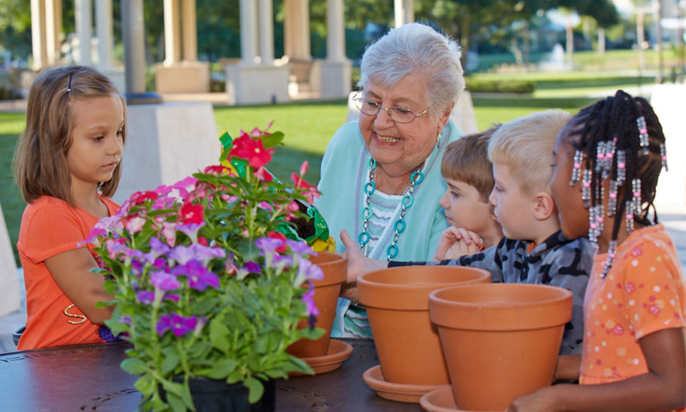 The Learning Center at The Palms of Largo | Largo, FL